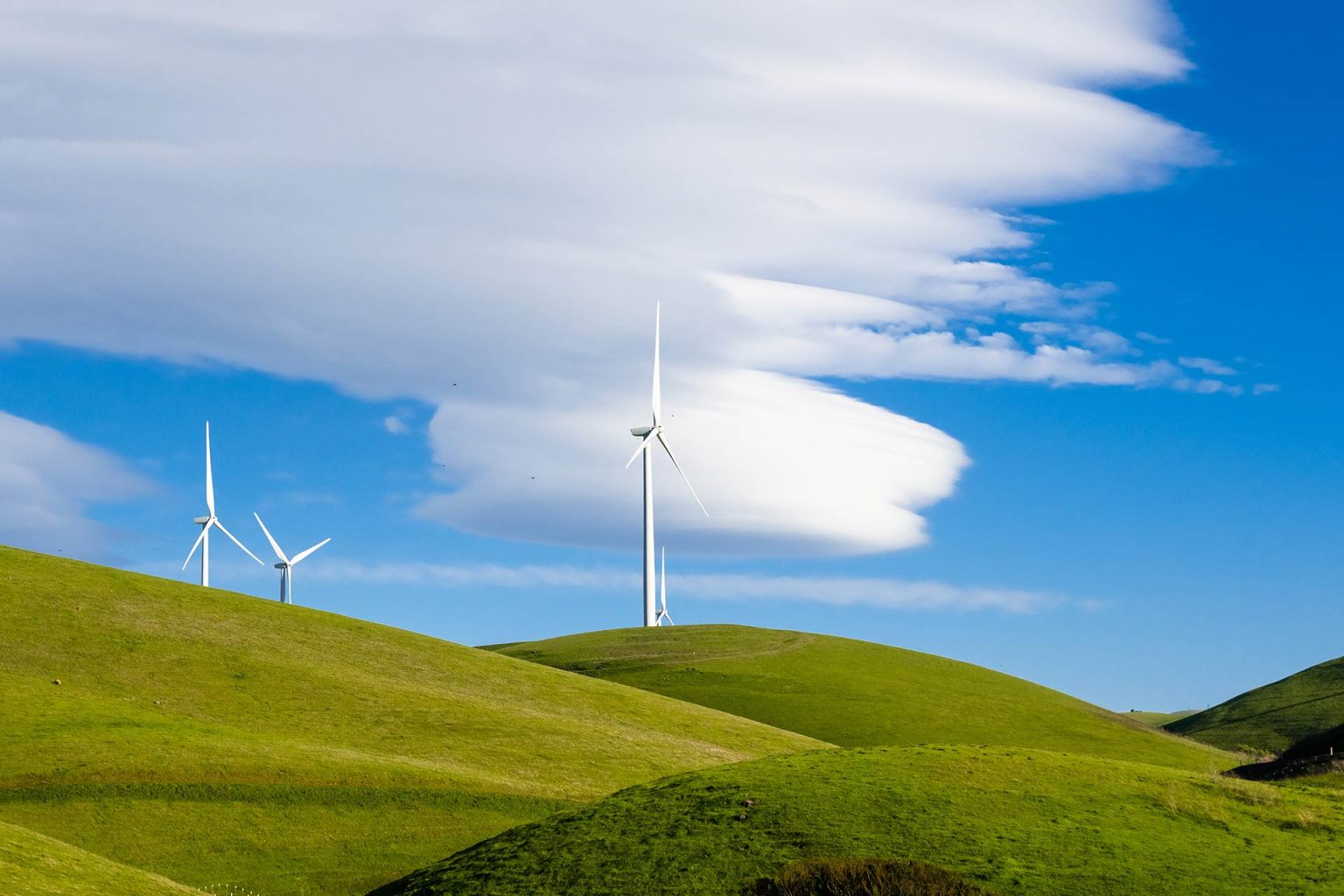 Texxol Operating Company, Inc. – Integrated, Secure & Efficient Supply ...